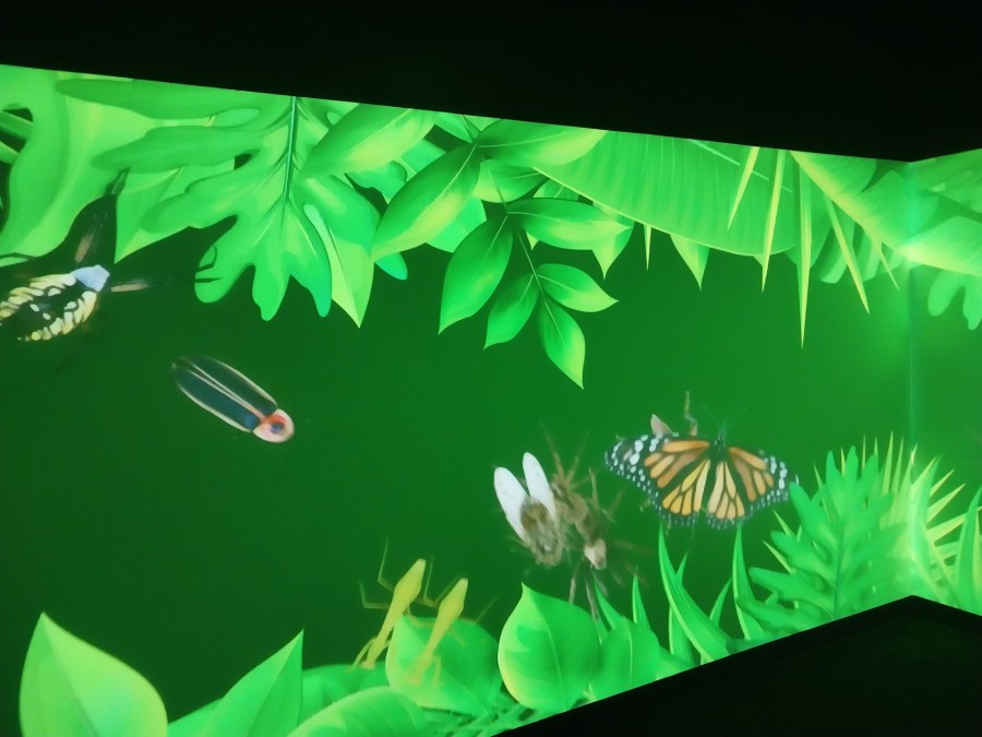 ‘Big Bug Bash’ promises hands-on fun for Earth Day! - AOL