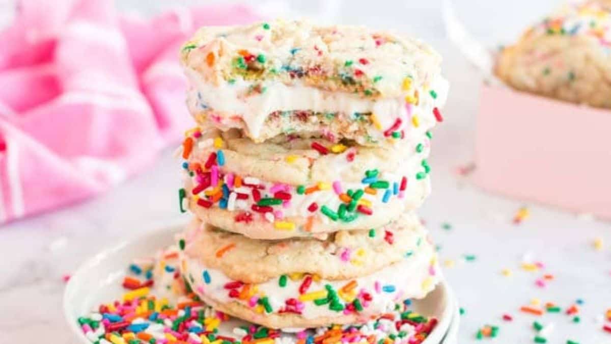 11 Fun Ice Cream Sandwich Ideas Perfect for Hot Summer Days - AOL