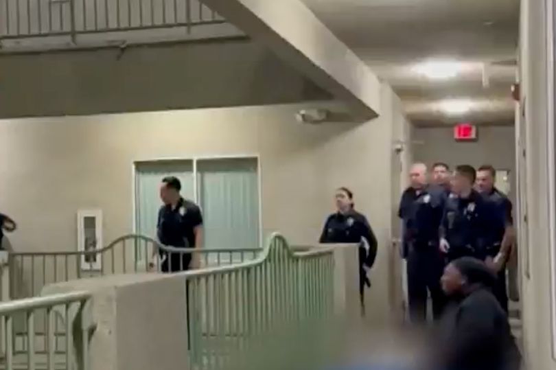 Dog in Knicks jersey shot and killed by LAPD raises staggering $160,000 ...