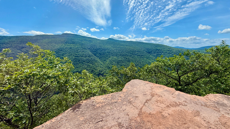 New York's 9 Prettiest Trails Hikers Say Are The Best In The Catskill ...