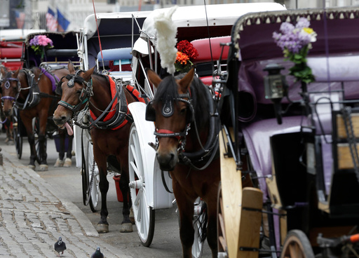 Teenager dies after being thrown from horse-drawn carriage in NYC's ...