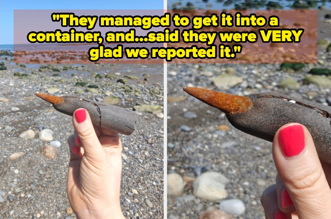 37 Really Weird Things People Found And Needed The Internet To Identify ...