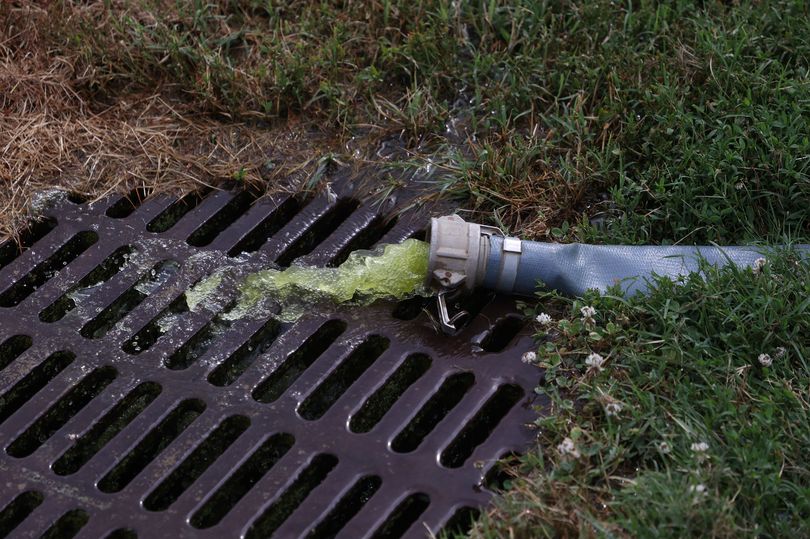 Dirty green water pumped from Reflecting Pool after Trump's $14M ...