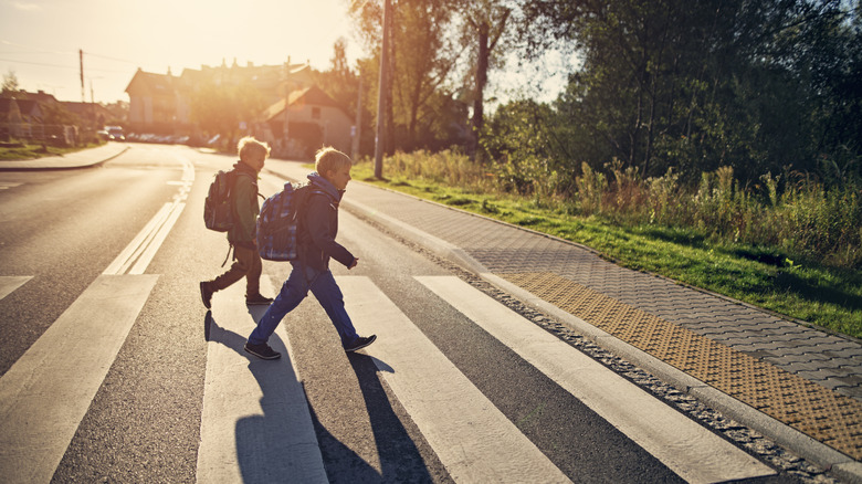 Road Signs And Meanings: What Do Pentagon-Shaped Signs Mean For US ...