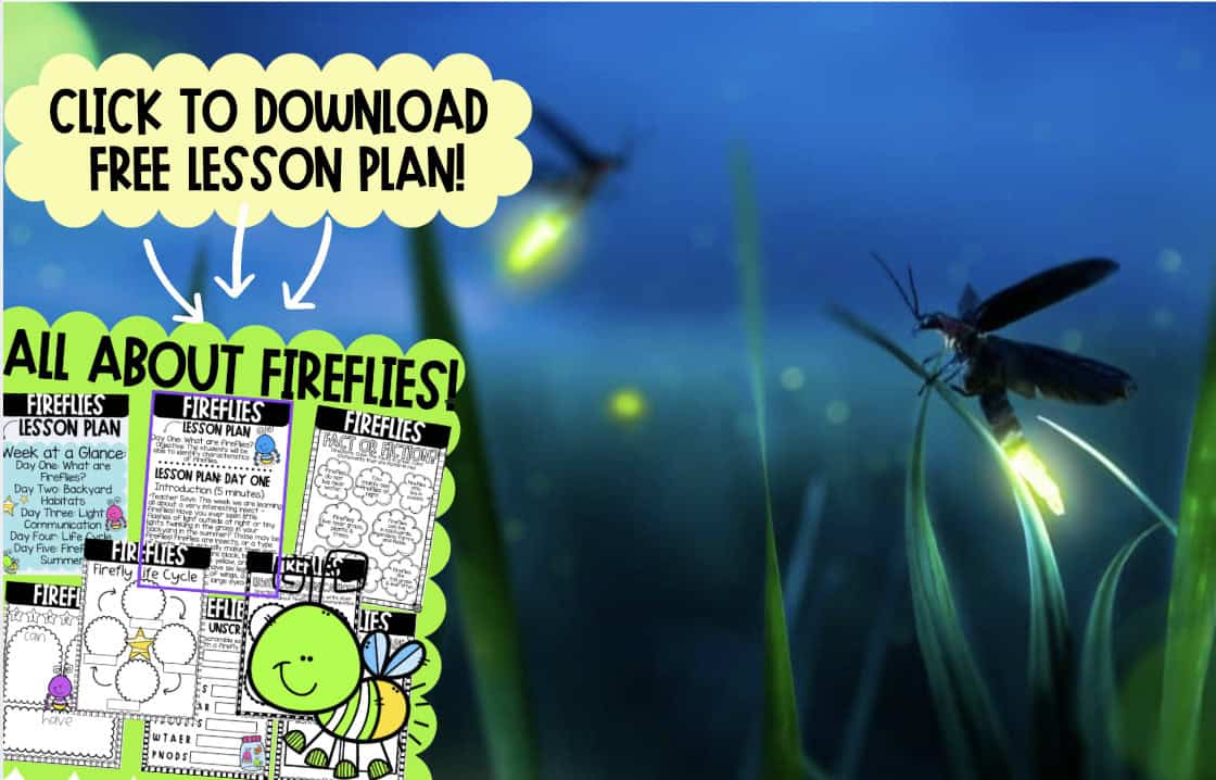 A 5-Day Firefly Lesson Plan for Kids - AOL