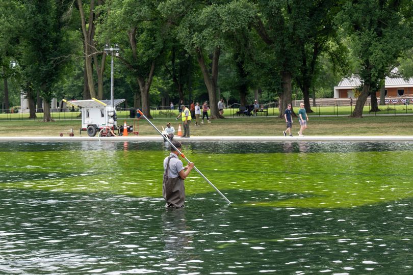 Expert reveals truth behind Trump's Reflecting Pool sabotage claim ...