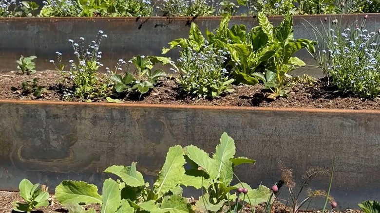 Goodbye Concrete Blocks: Build Your Retaining Wall Quickly With This ...