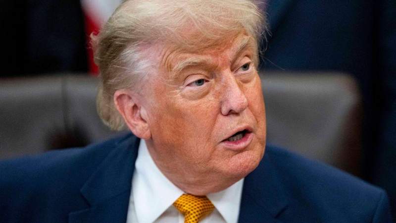 Donald Trump Mocked by Critics Over His 'MAGA Mullet' Hairstyle ...
