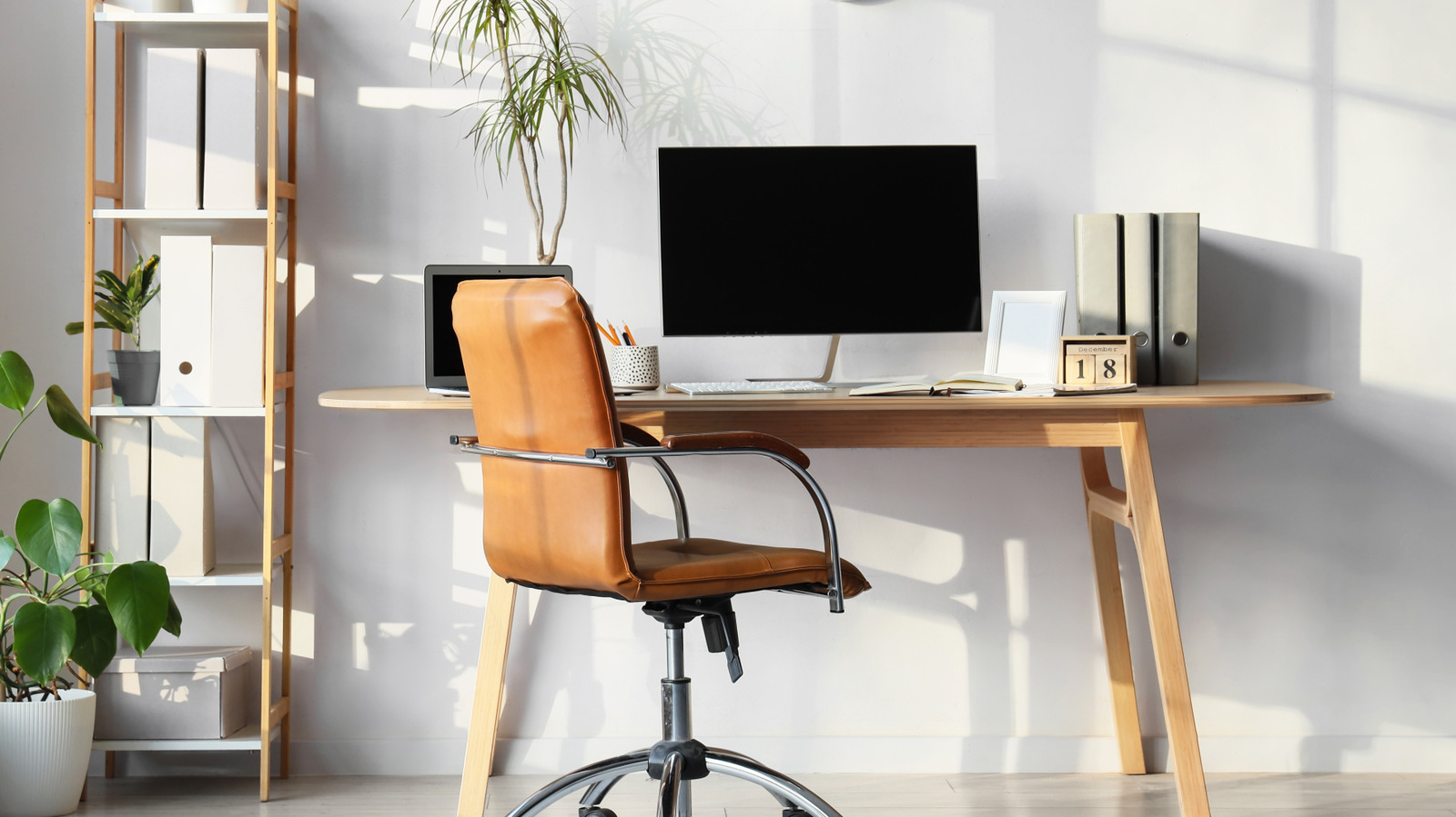 The 5 Best Budget Monitors For Your Home Office In 2026 - AOL
