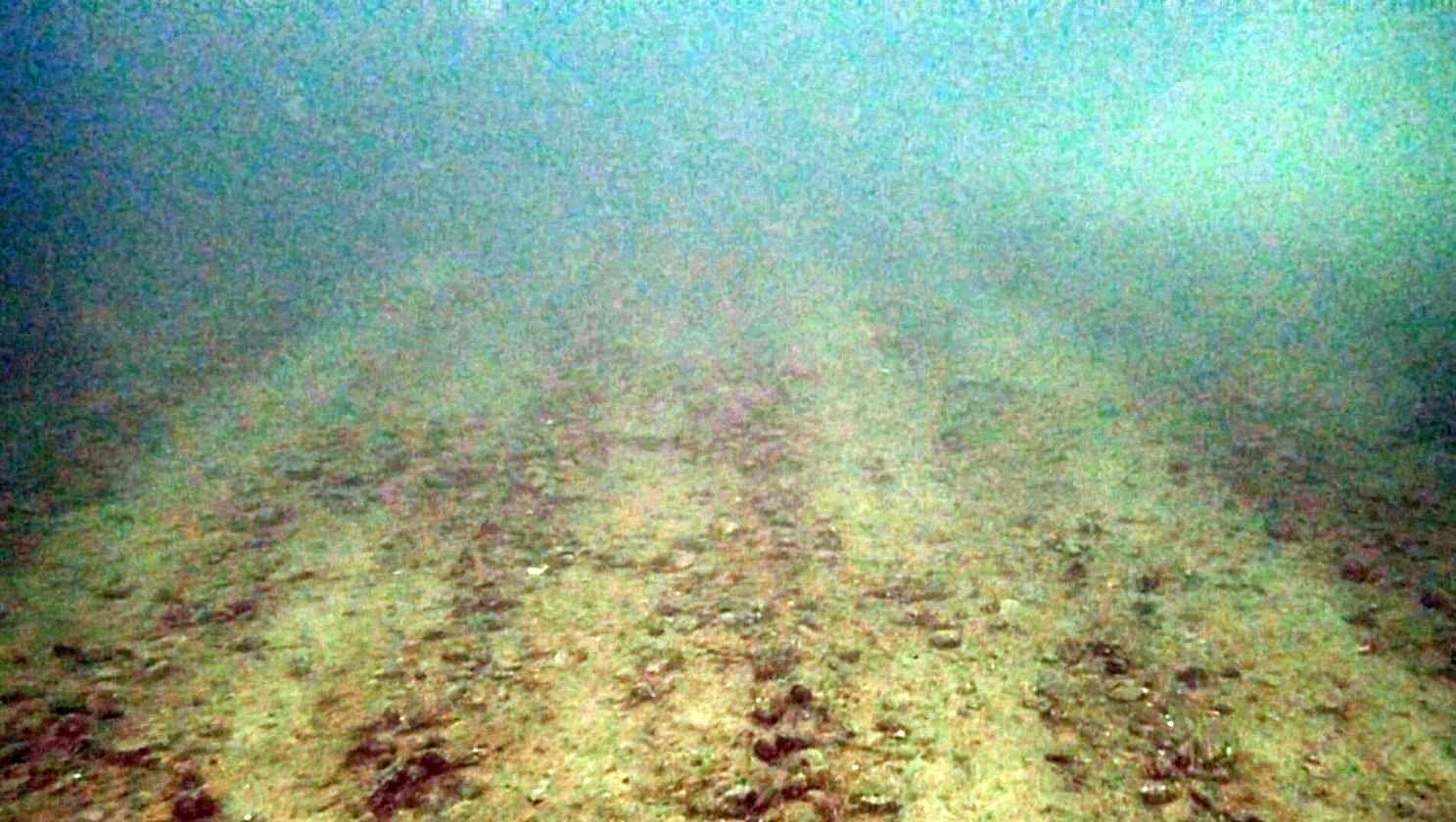 Seabed damaged by fishing showing signs of recovery - AOL