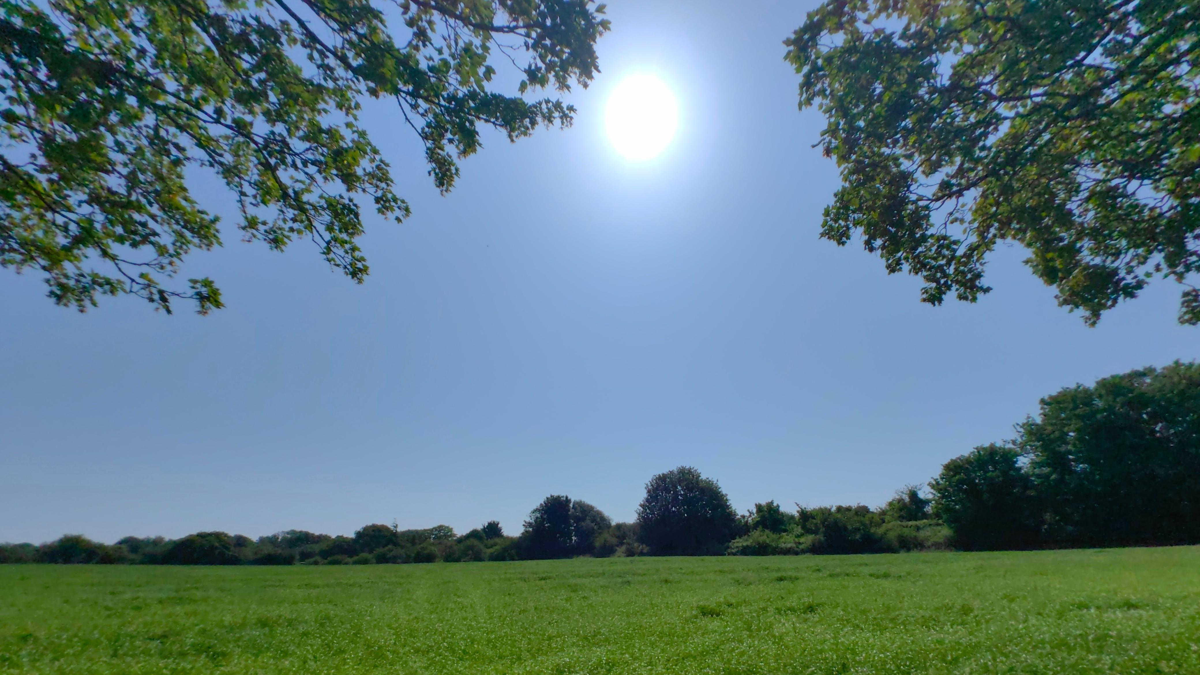 We're absolutely not prepared for extreme heat and it's frightening ...