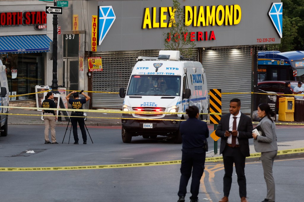 Teen driver accused of striking NYPD sergeant with stolen car charged ...