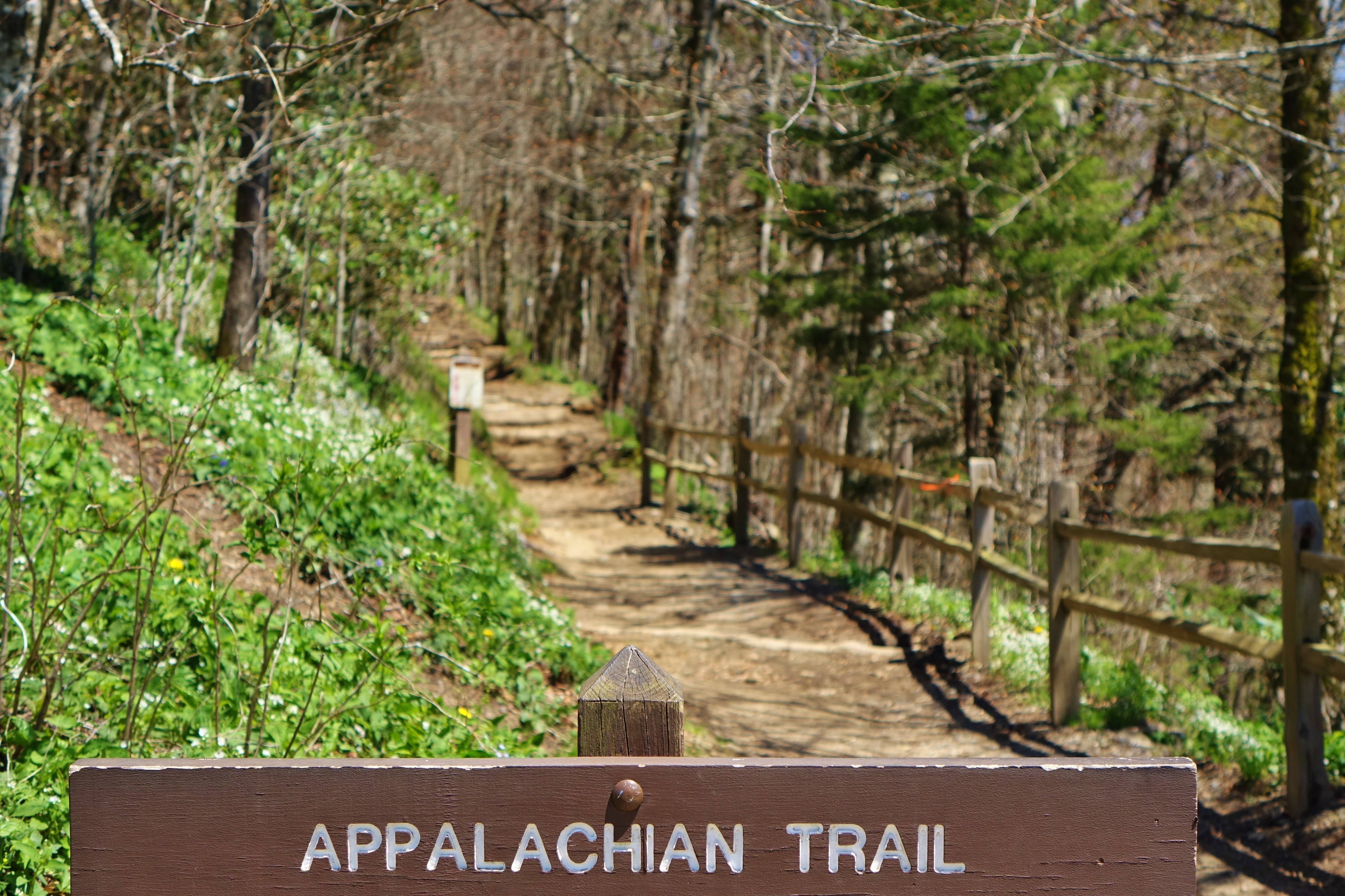 Shenandoah National Park Issues Warning Over Norovirus Outbreak On ...