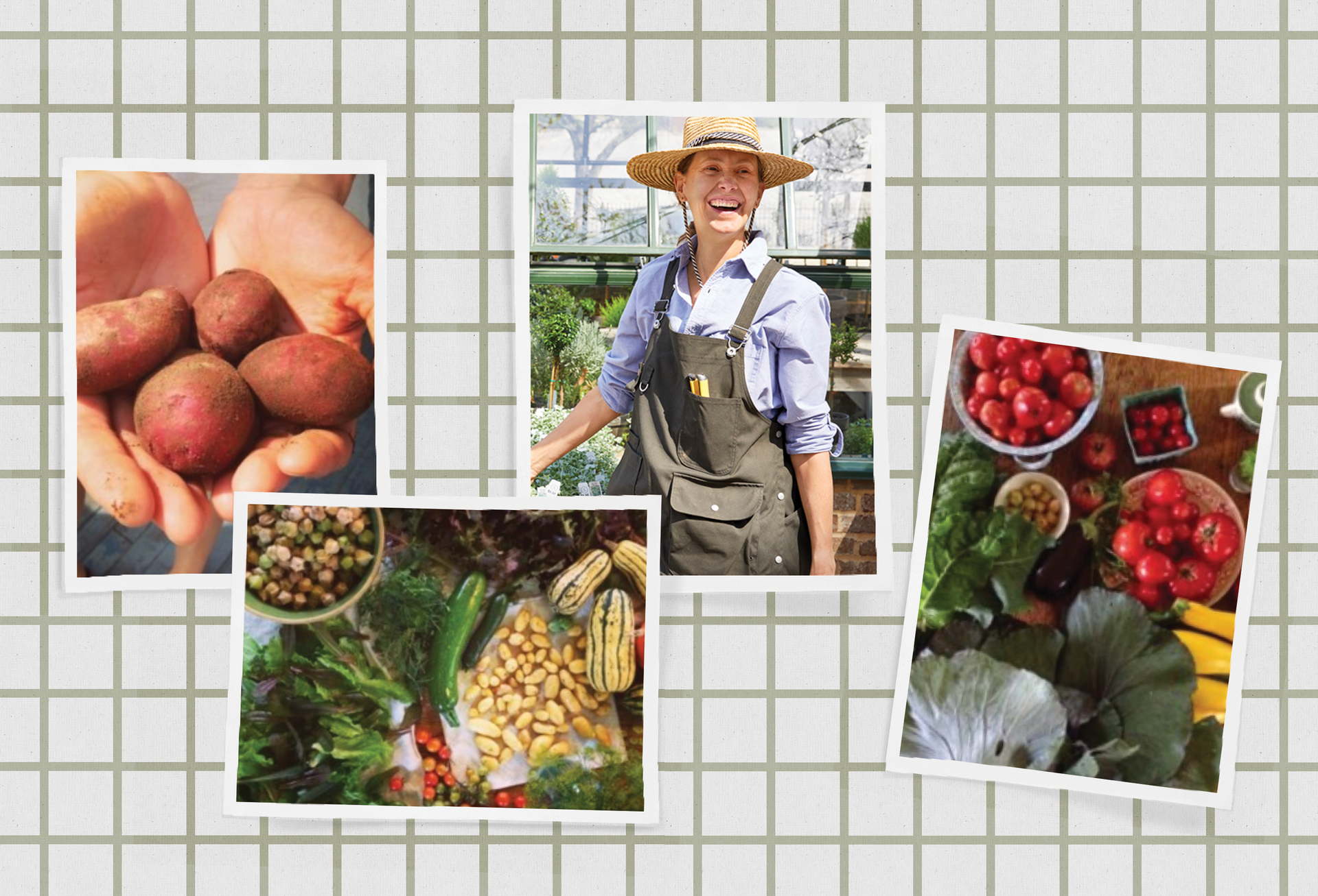 7 Things Vegetable Gardeners Will Love This Summer - AOL