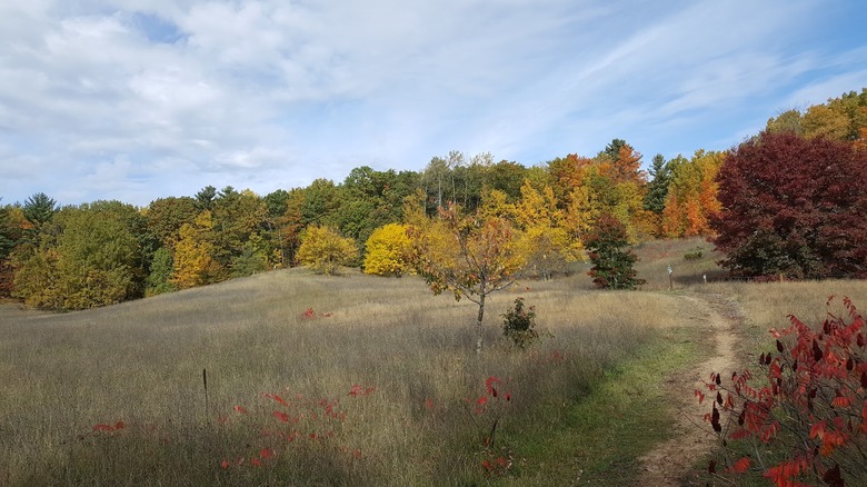 10 Secret Spots In Traverse City, Michigan That Most Tourists Miss - AOL