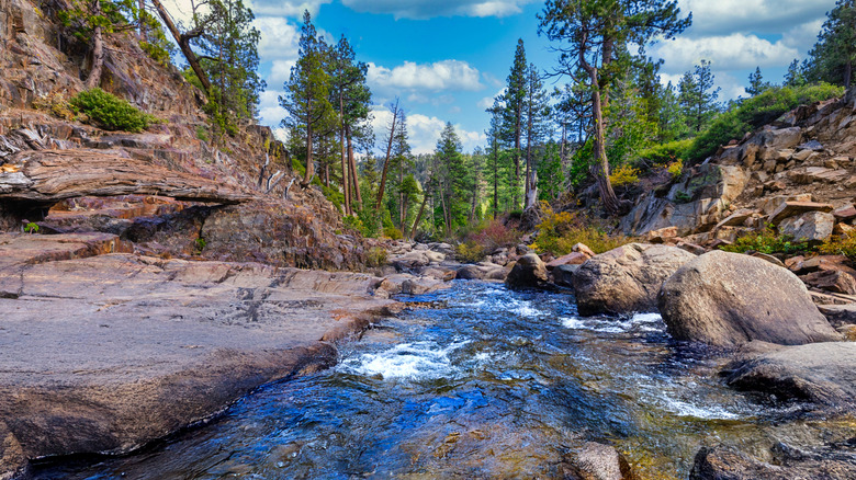 The 7 Most Beautiful Mountain Trails Around Lake Tahoe Most Tourists ...
