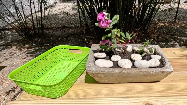 The Easiest Way To DIY Concrete Planters Using A Plastic Bin - AOL