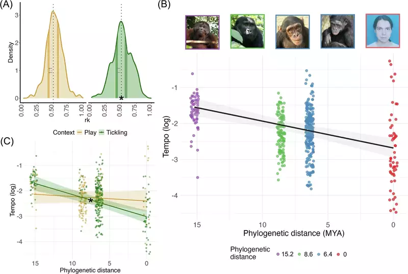 Apes and humans share an ancient laughter rhythm dating back 15 million ...