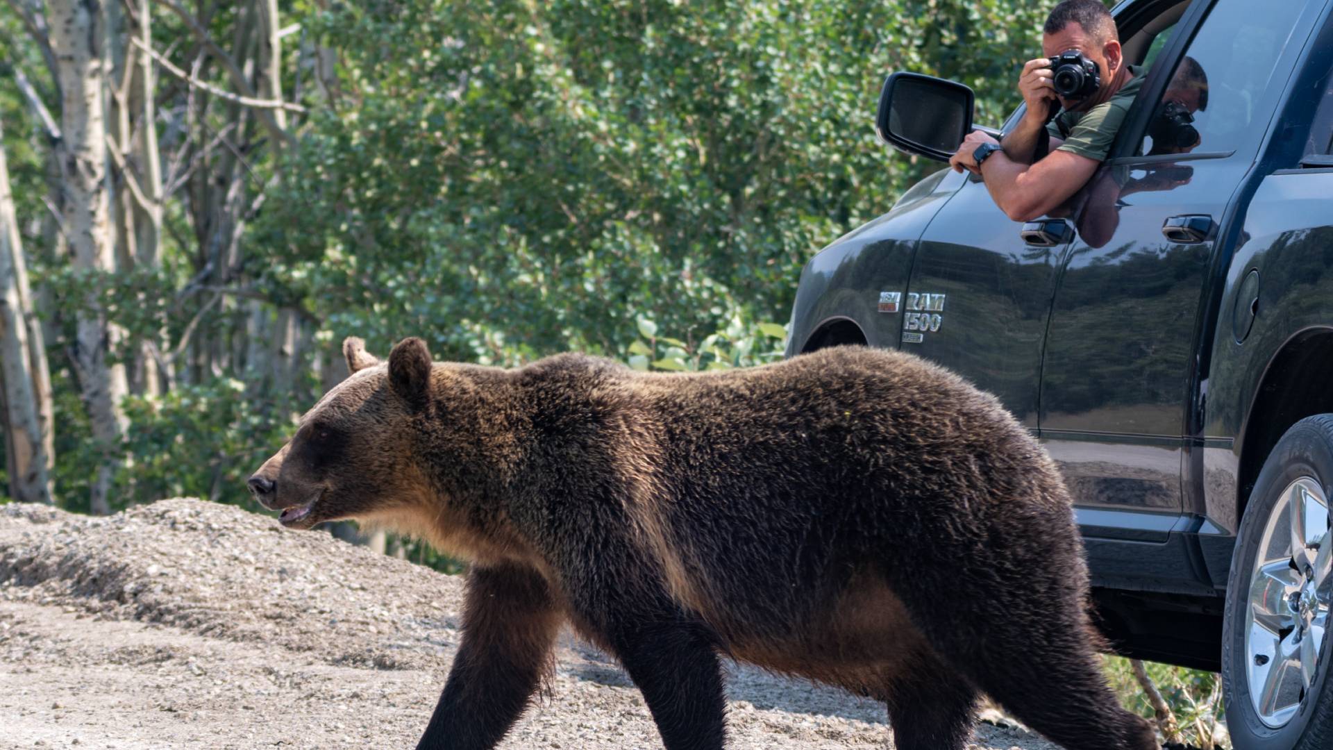 Glacier National Park's Top Attraction Finally Opens To Vehicles ...