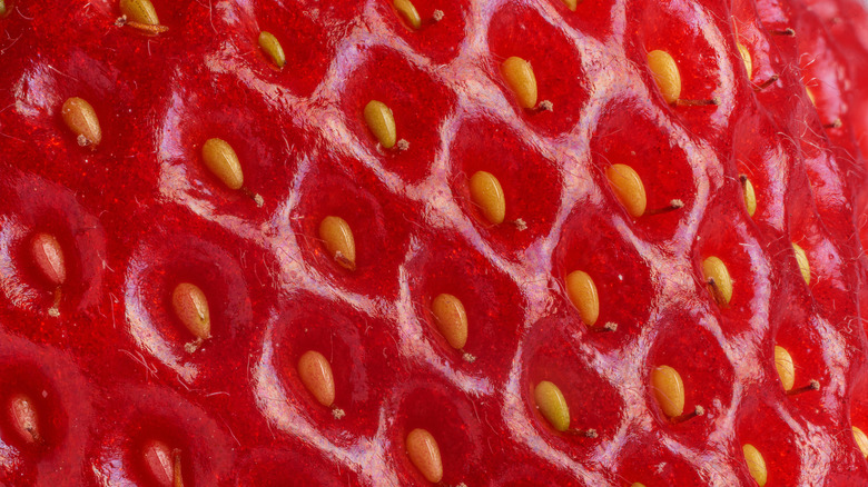 Those Tiny Specks On A Strawberry Aren't Seeds - AOL