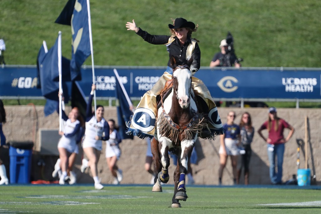 UC Davis cuts entire equestrian team — then furious parents ...