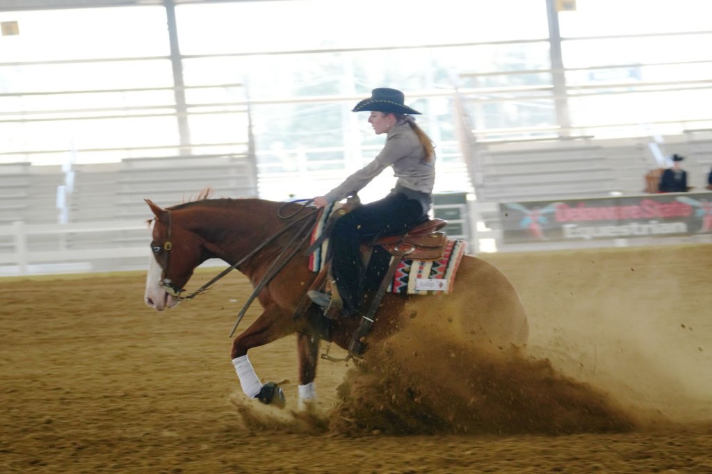 UC Davis cuts entire equestrian team — then furious parents ...