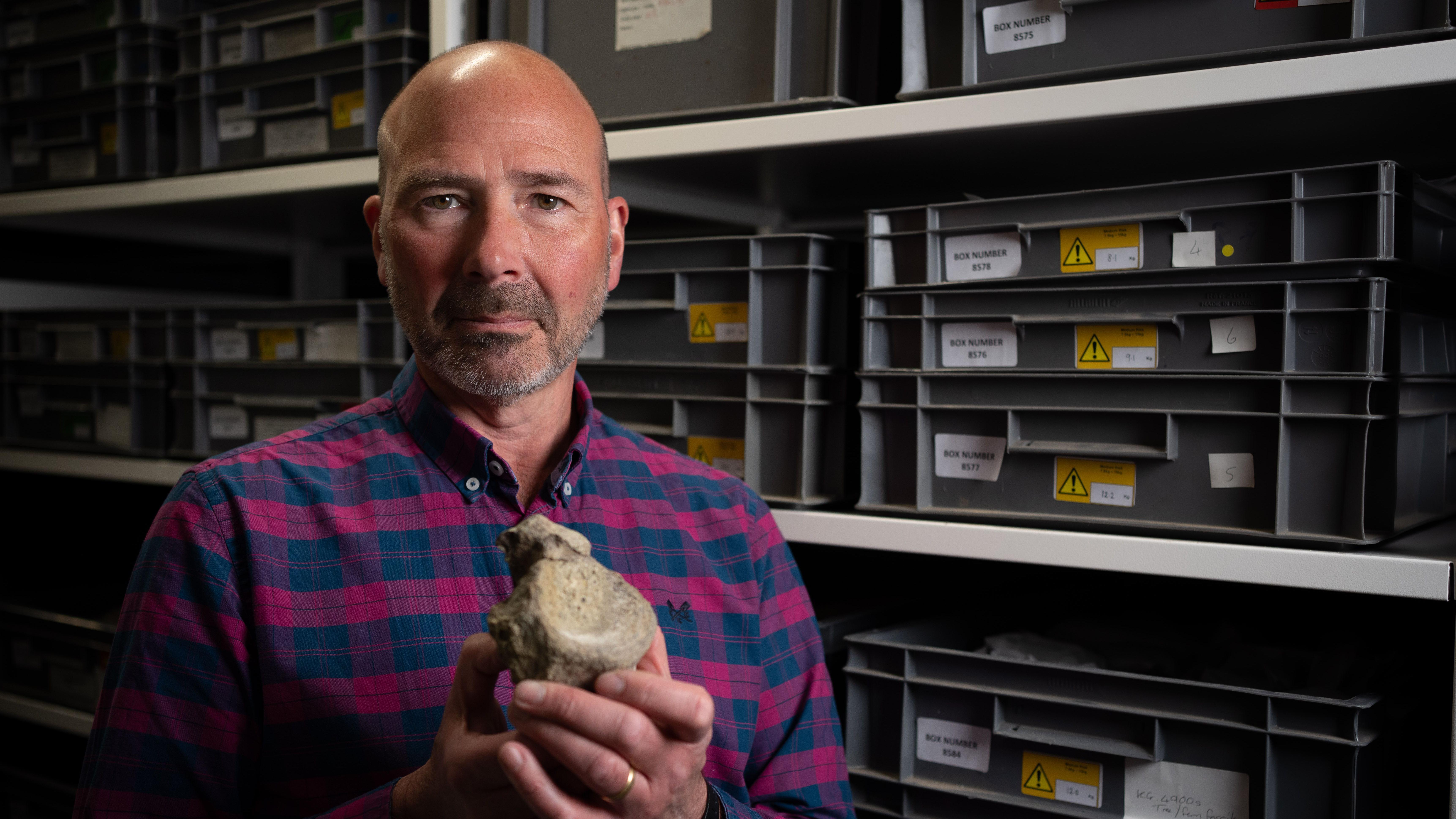 First dinosaur bone from Antarctica found in a drawer - AOL