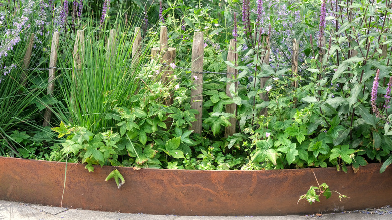 Ditch Concrete Blocks: A Smarter Way To Build A Retaining Wall That ...