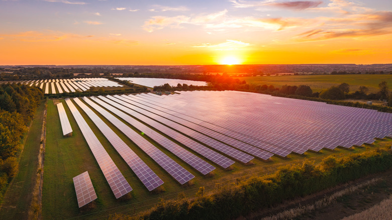 A Floating Solar Farm In The Netherlands Is Having A Big Effect On ...