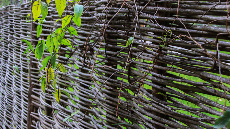 Not Vinyl, Not Chainlink: The Fence Alternative That'll Add A Rustic ...