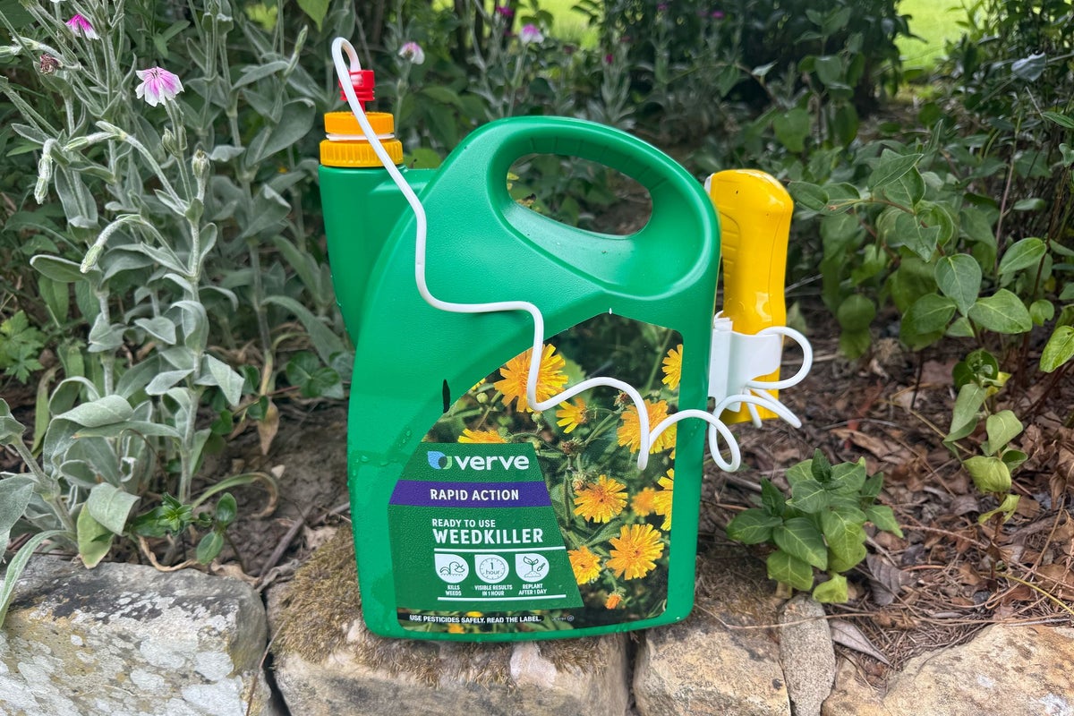 9 best weed killers for a neater, greener lawn - AOL