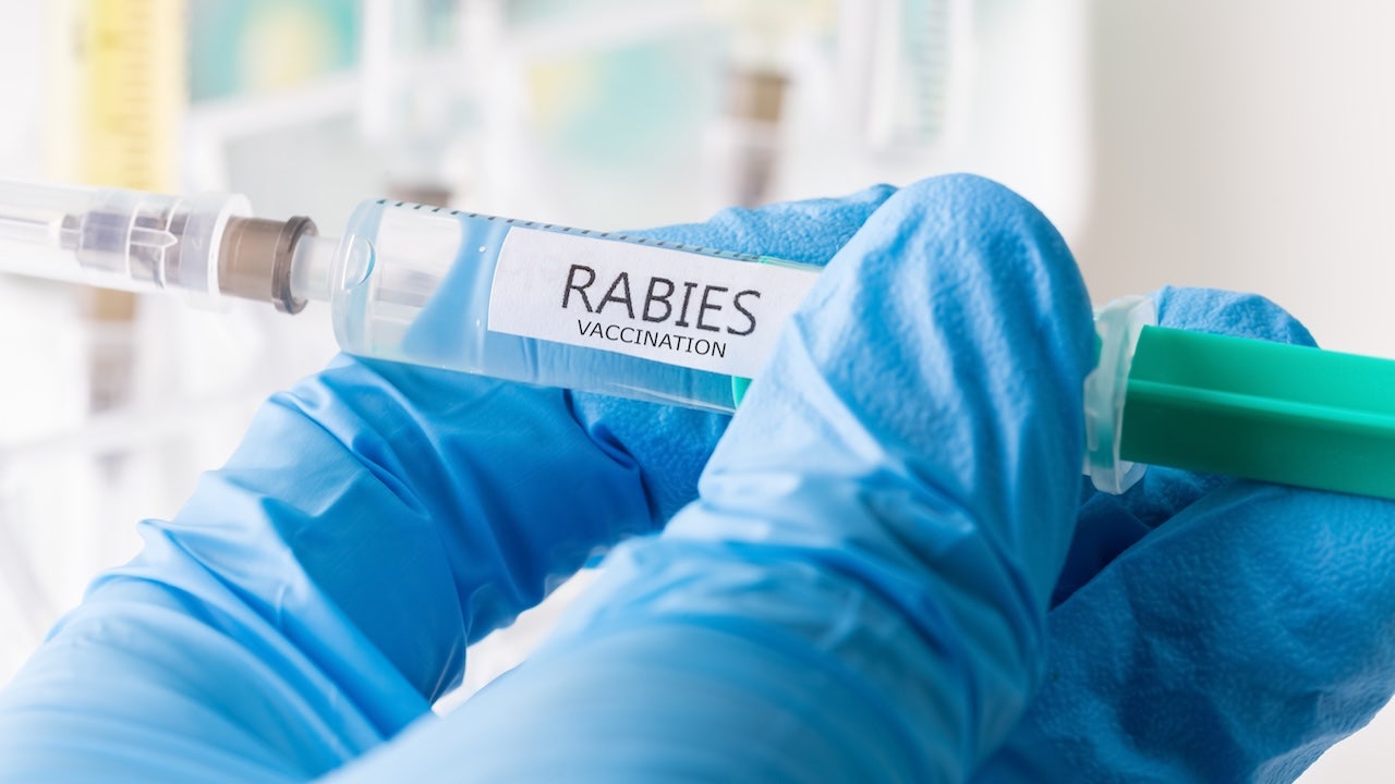 American vaccines that transformed public health over 250 years ...