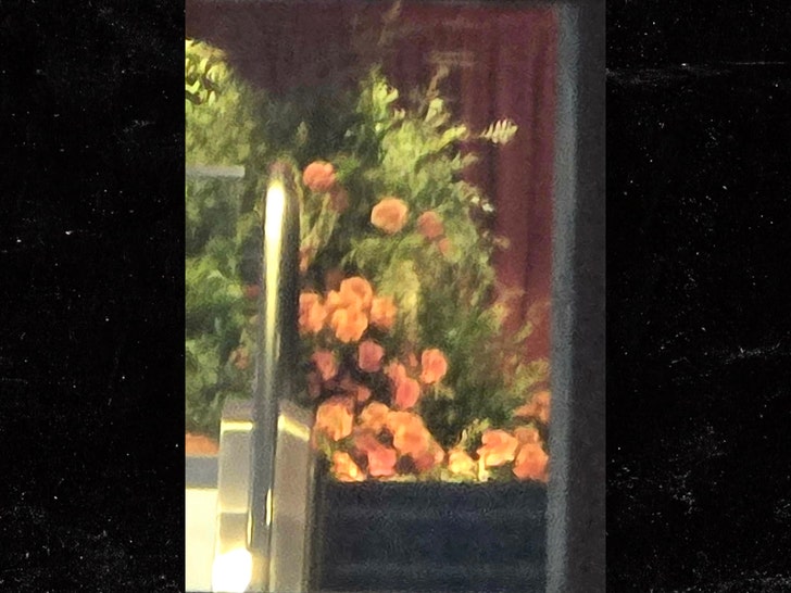 Taylor Swift Guests Leave Rehearsal Dinner With Gift Boxes, Possible ...