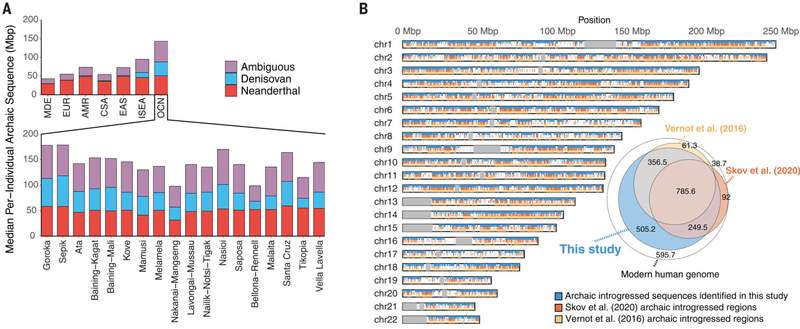 Ancient DNA in Oceania reveals hidden human evolution and health ...