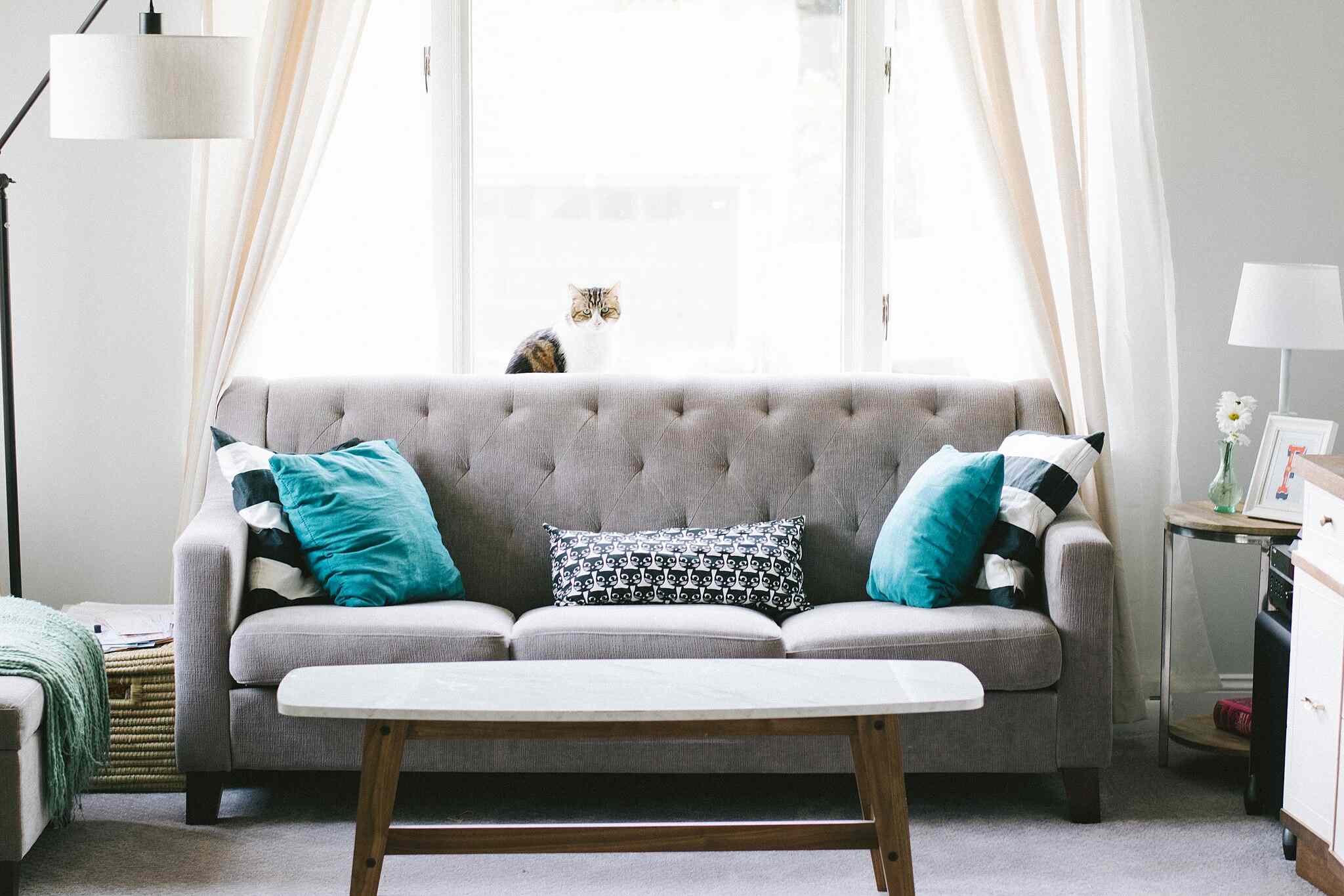 We Asked Designers Which Window Treatments Are Out in 2026—These 5 Made ...