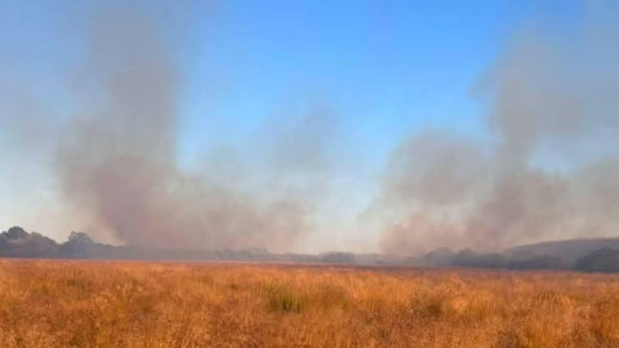 Nine Fire Crews Tackle Blaze At Nature Reserve Aol