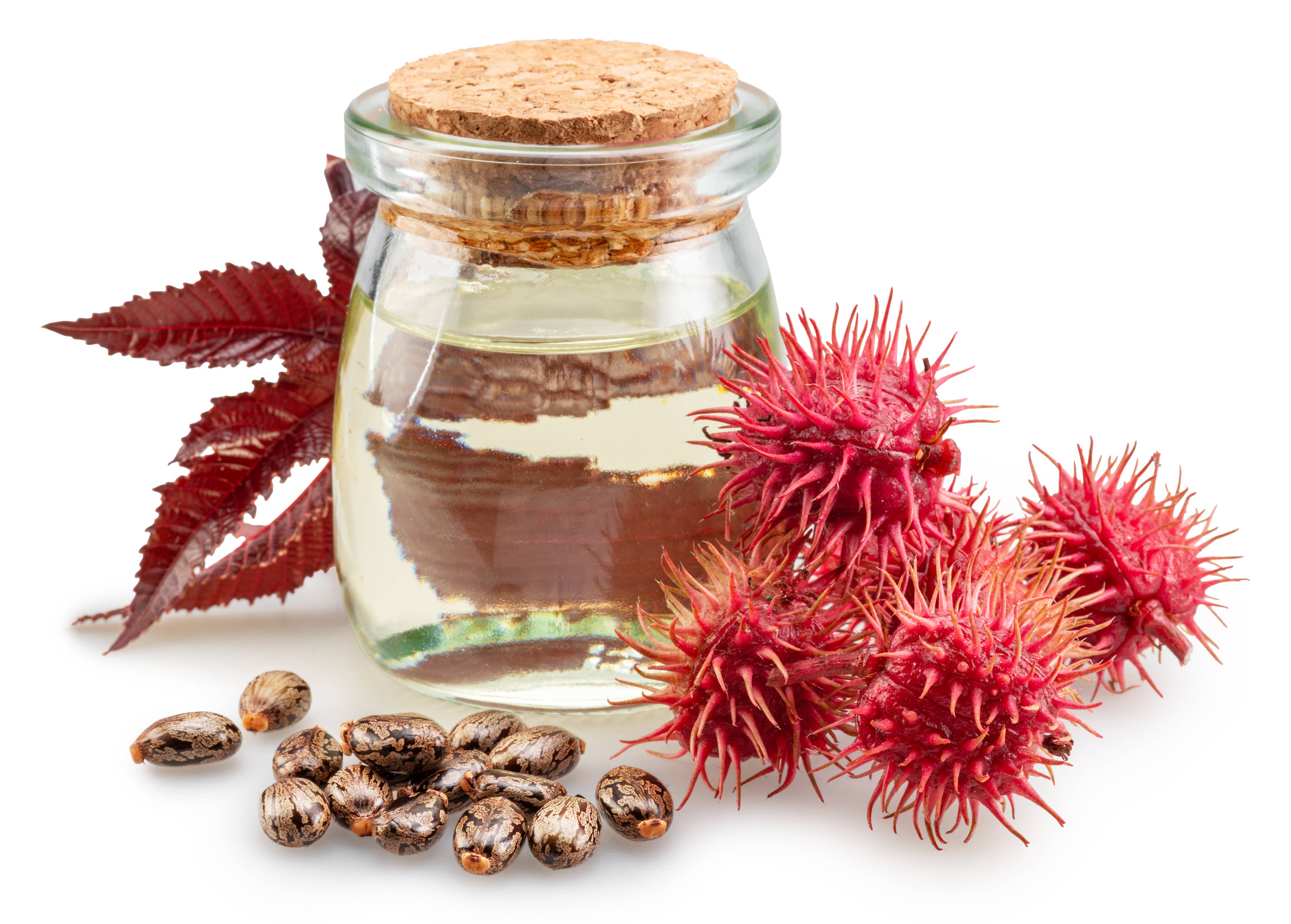 I Tried Castor Oil for Hair Growth: Here’s What Really Happened After 4 ...